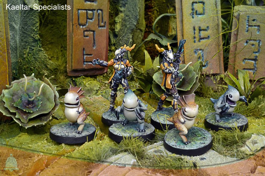 Descubre la nueva caja con 300 puntos de Tohaa - Fanhammer